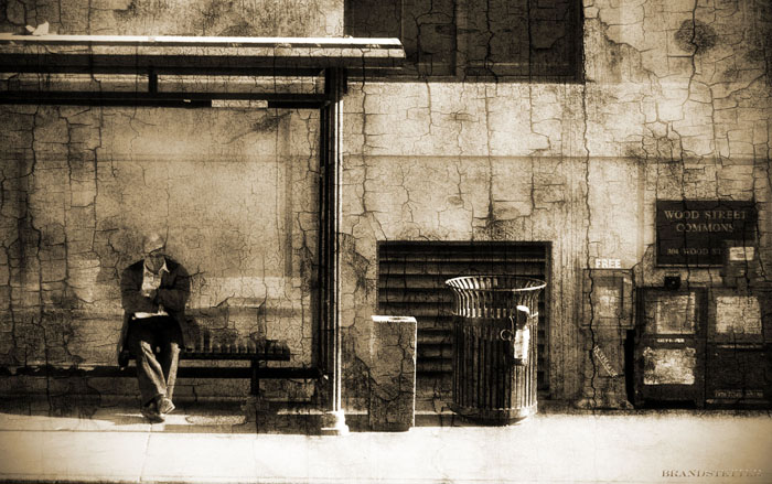 Bus Stop Shutterbug